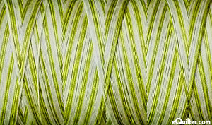 eQuilter Variegated - AURIFIL Cotton Thread - 50 Wt - Spring Prairie